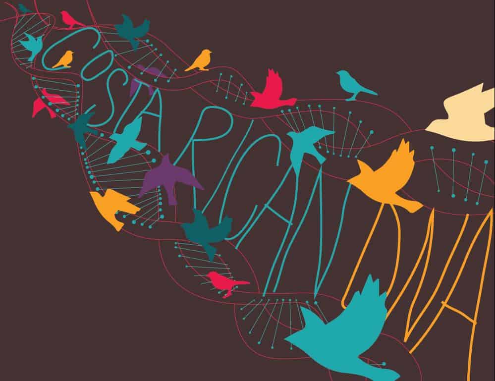 Is the sword still the enemy of freedom in Costa Rica? : The Tico Times ...