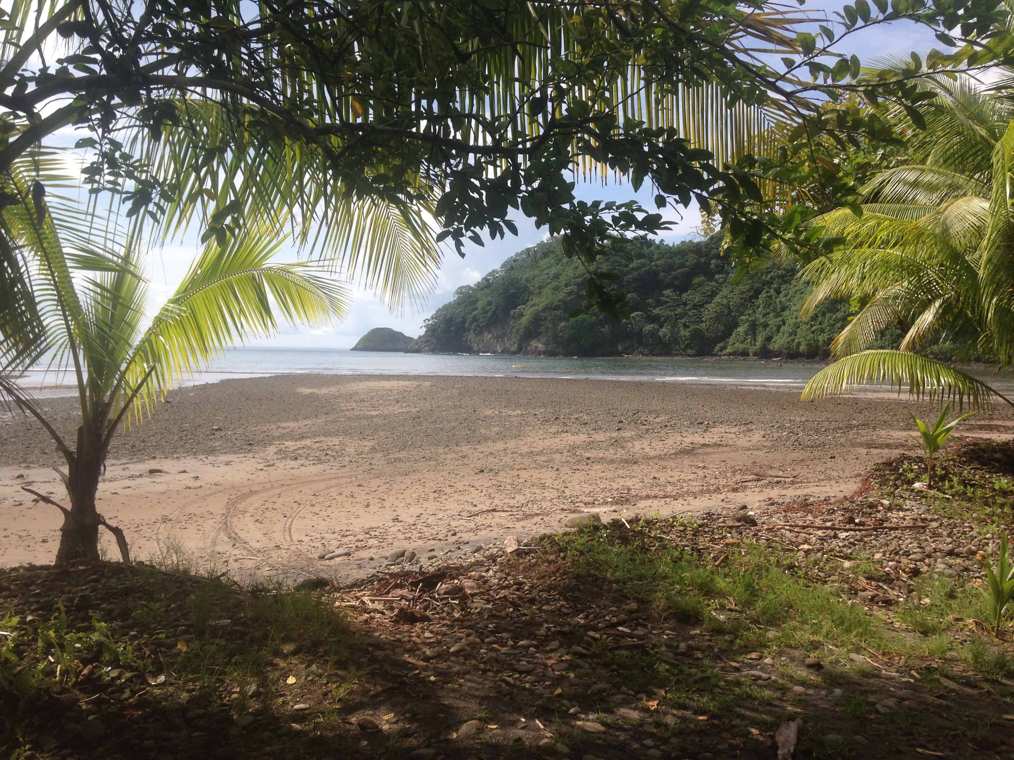 Tourists pay up to $6,800 each to visit Costa Rica’s Isla del Coco ...