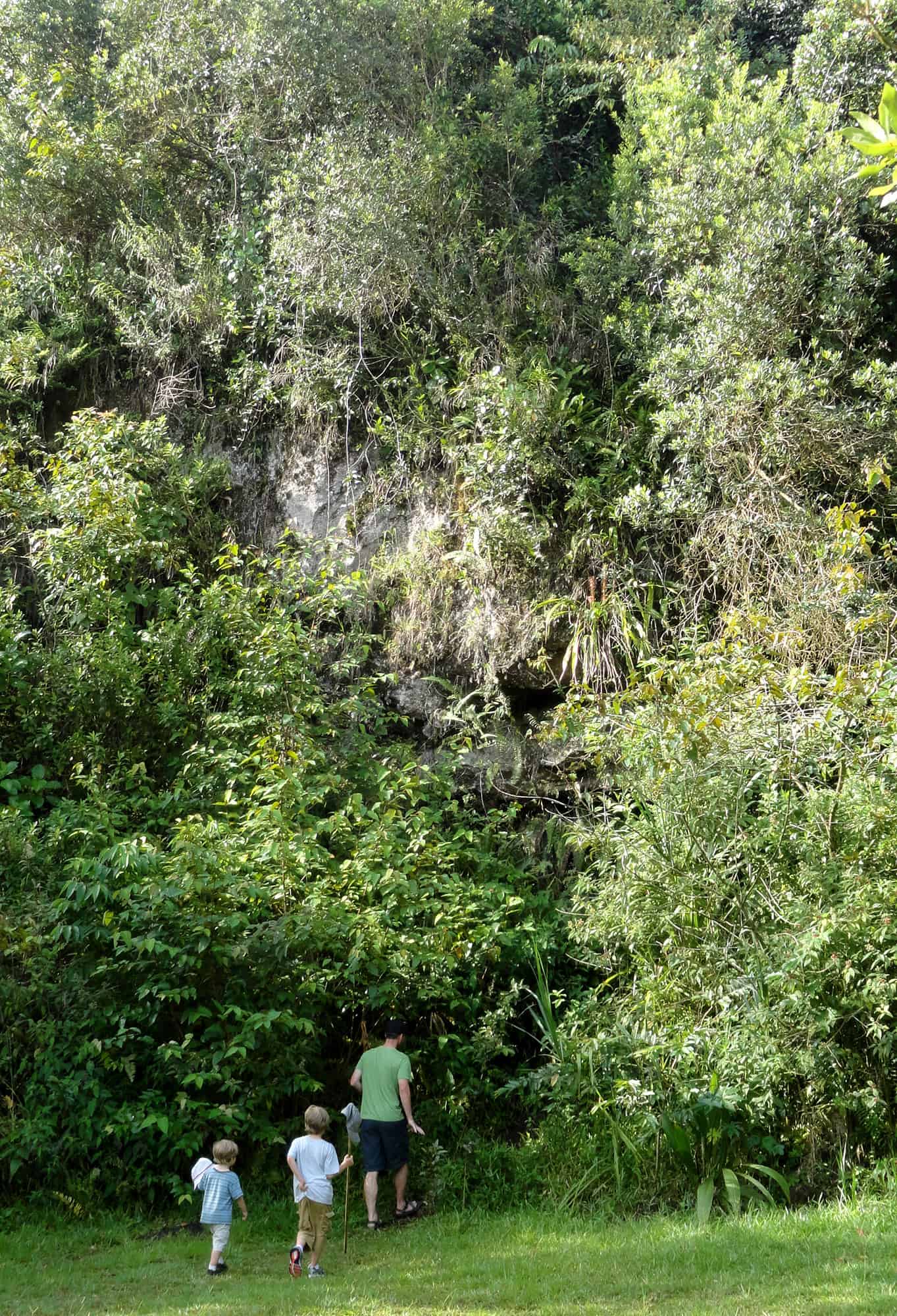Costa Rica tree house vacation, by way of a giant mudslide : The Tico ...