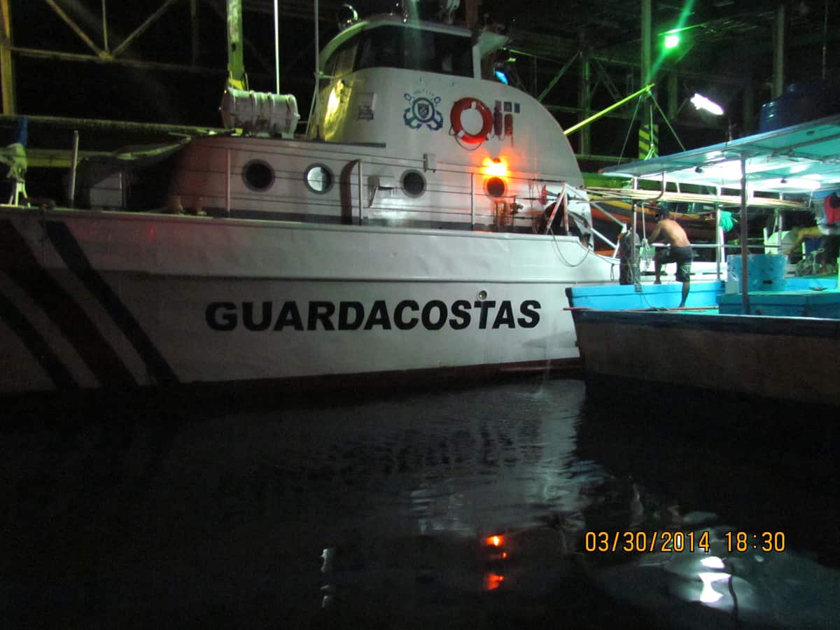 Costa Rican Coast Guard captures boat with 153 illegal shark fins : The ...