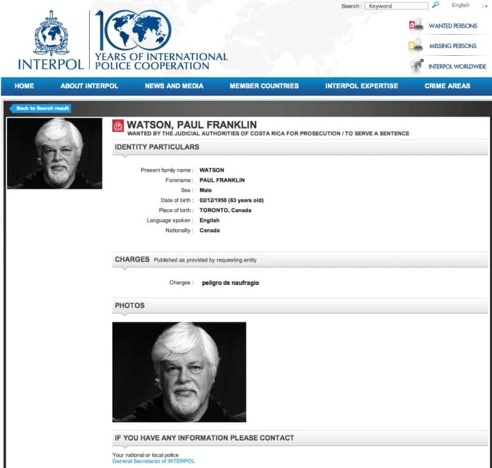 Sea Shepherd's Paul Watson back on Interpol website as Costa Rica ...