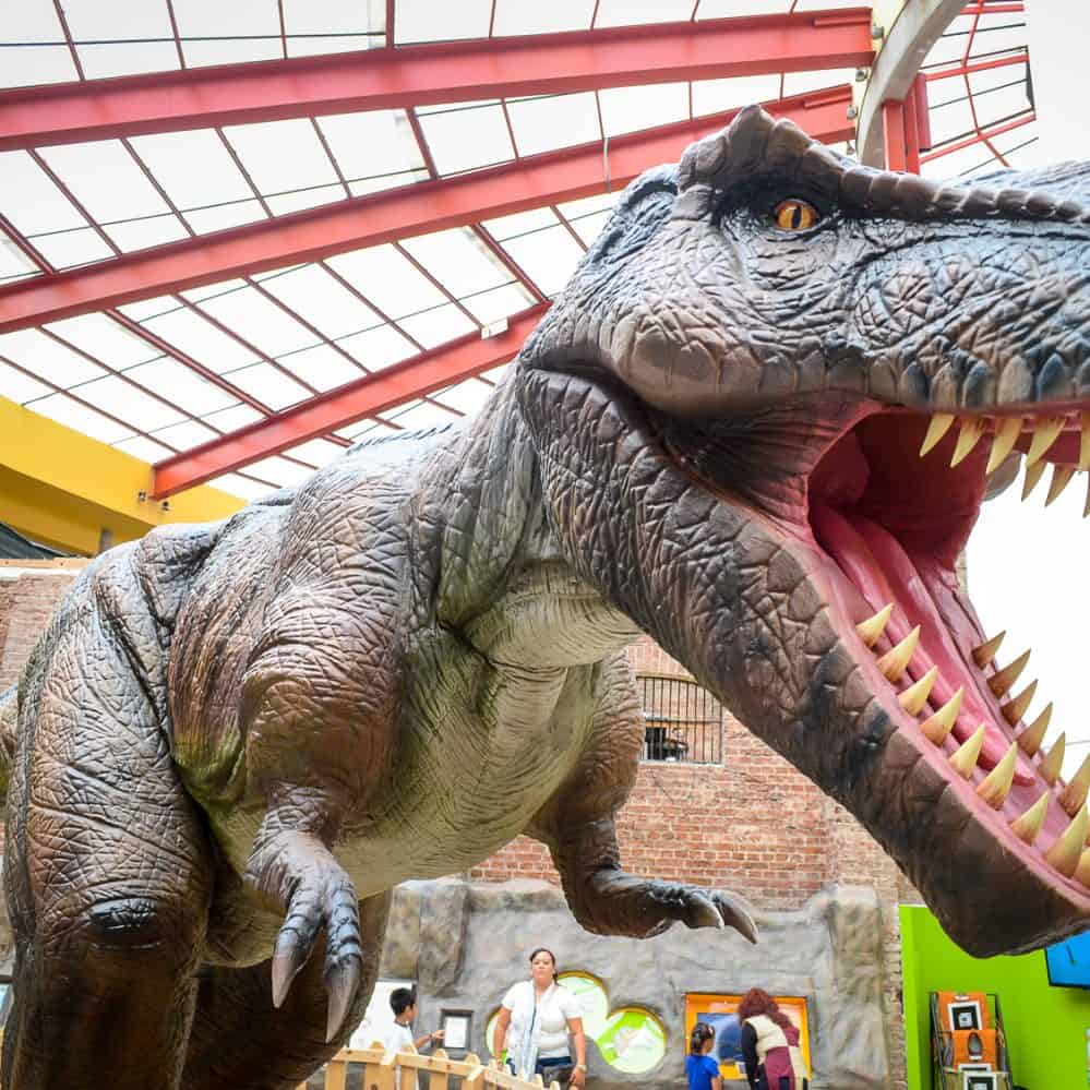 Dinosaurs, The Elephants, and other happenings around Costa Rica – The ...