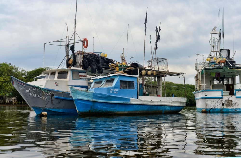 MarViva Urges Costa Rica Presidential Hopefuls to Focus on Ocean Protection