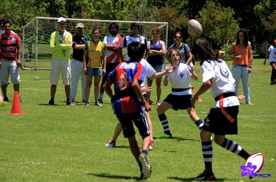 ‘Gran Final’ tournament to draw diehard rugby fans, young novices : The ...