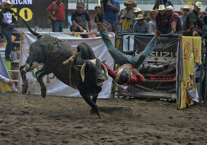 Photos From Costa Rica's Big Time City Rodeo