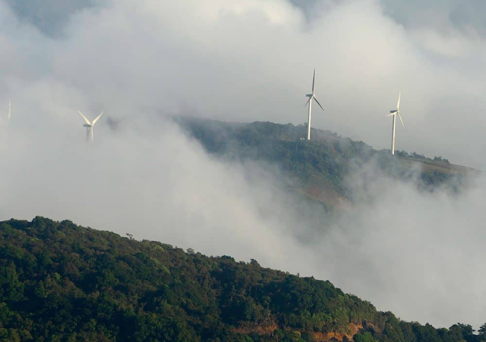 Carbon neutrality won't solve everything, environmentalists say : The ...