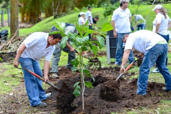'Environmental hero' reforestation campaign aims to restore biological ...