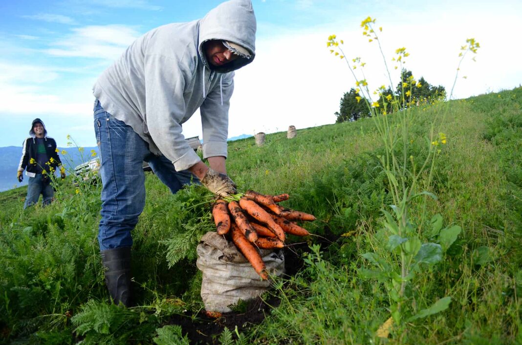 Learning Spanish in Costa Rica: Essential Slang for Expats and Tourists