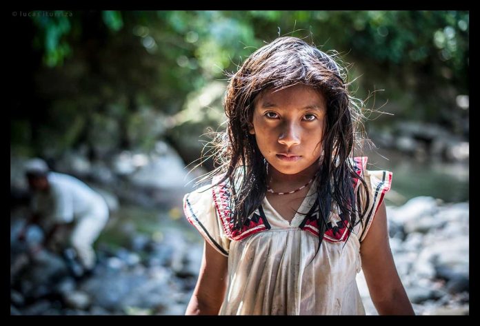 Photo exhibit documents Costa Rican diversity