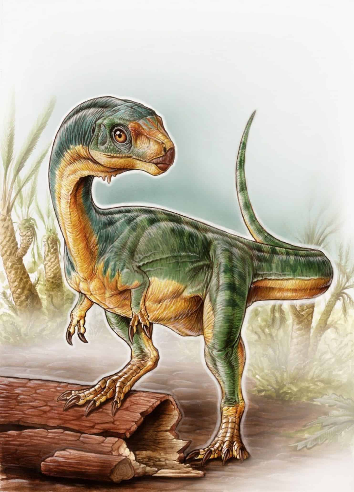 Perplexing 'platypus' dinosaur discovered in Chile : The Tico Times ...