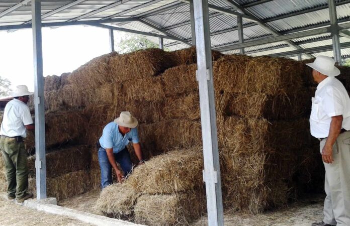 Costa Rica starts aid distribution to Guanacaste farmers stricken by ...