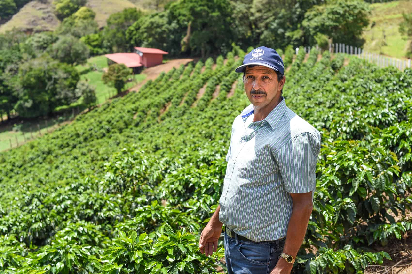 The Secret to Costa Rica's Best Coffee Grown in Lourdes de Cirrí : The ...
