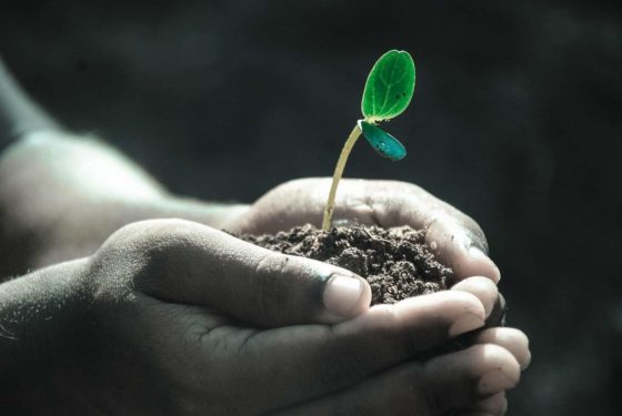Costa Rica Pioneers Global Soil Program to Combat Climate Change