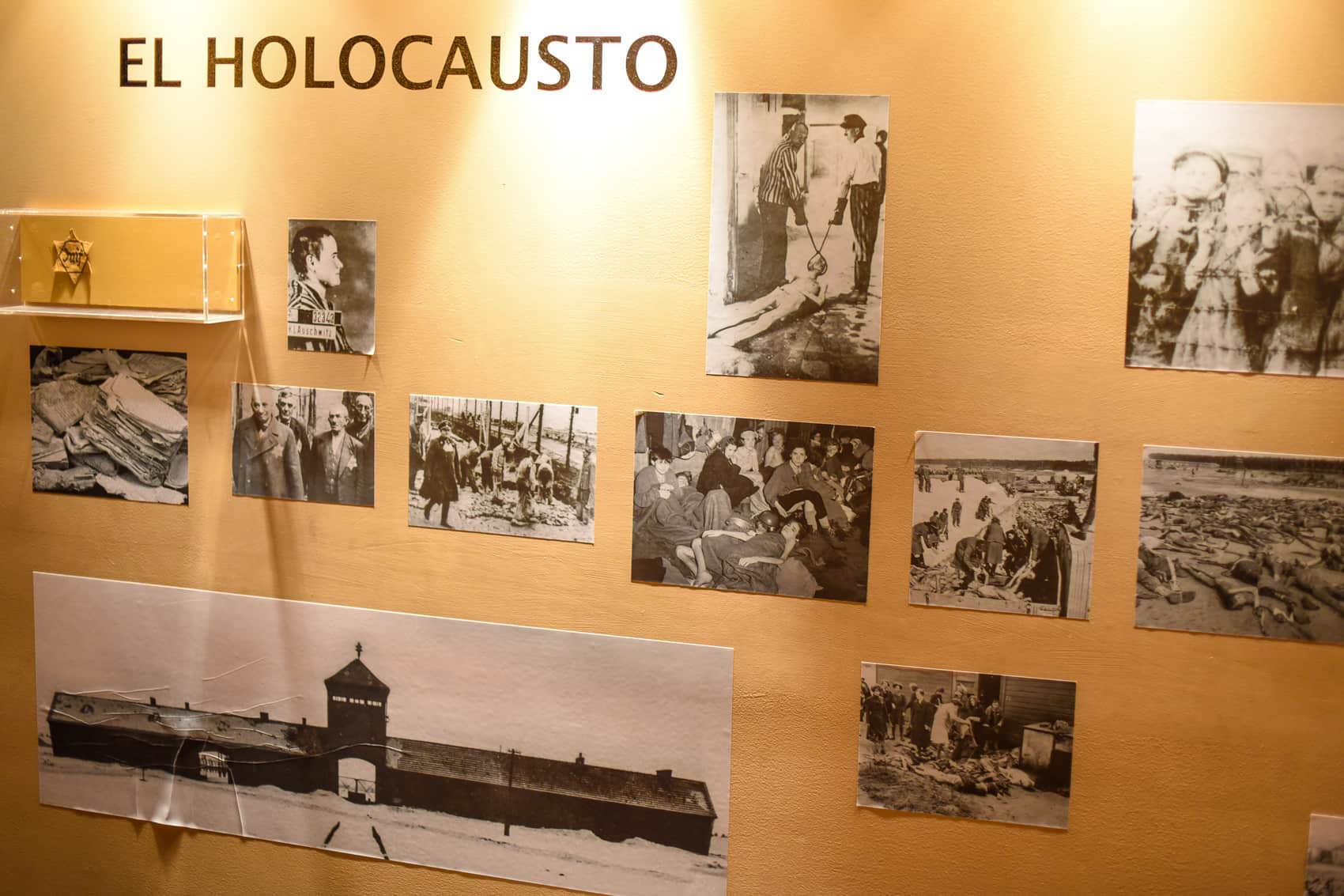 From Holocaust to Hope: Costa Rica's New Memorial for Survivors : The ...