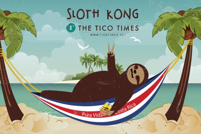 Costa Rica and International Sloth Day : The Tico Times | Costa Rica ...
