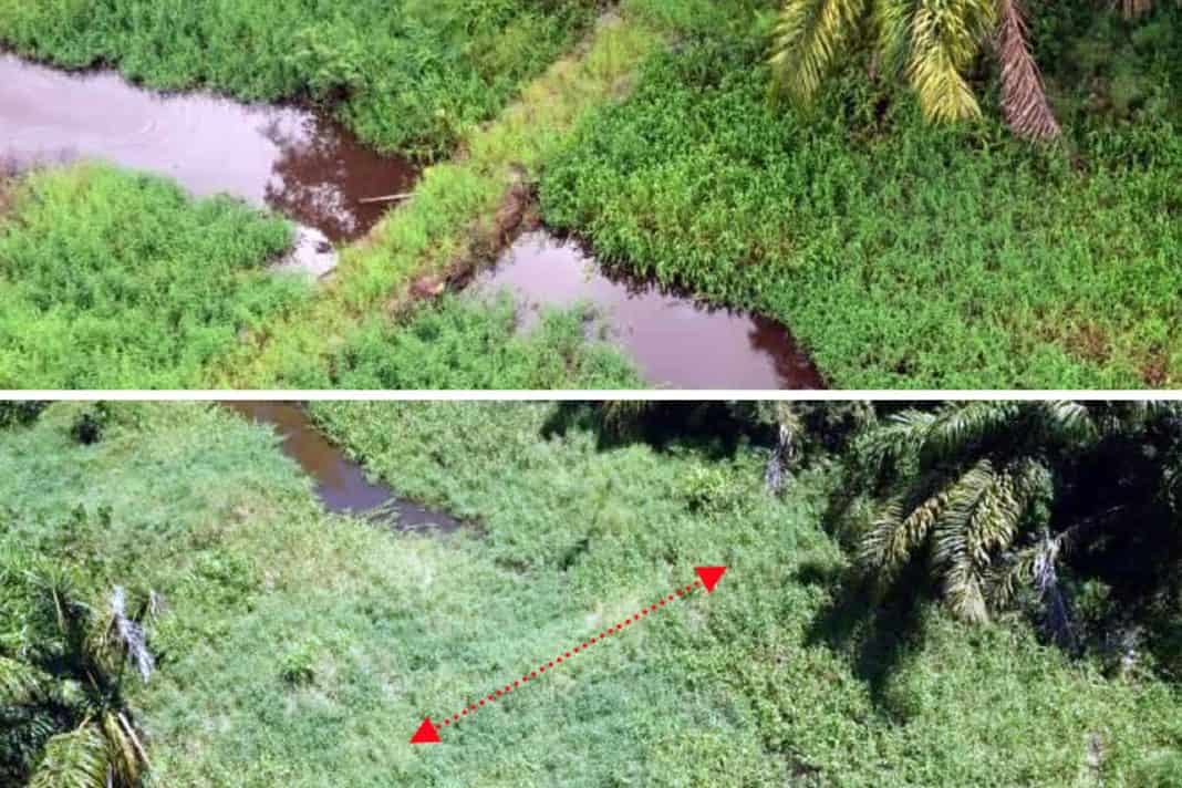 Damaged wetlands recover at Costa Rica - Nicaragua border