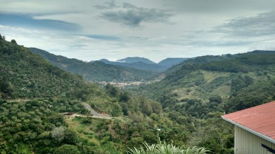 Costa Rica to step up carbon-neutral coffee production : The Tico Times ...