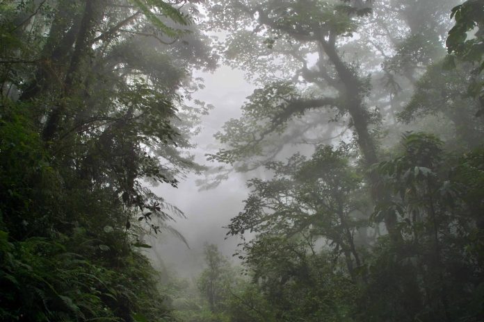 Climate change and Costa Rica's treasured Monteverde
