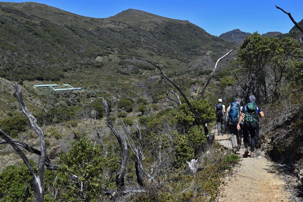 Costa Rica’s Chirripó Summit: First Hike on the San Jerónimo Trail