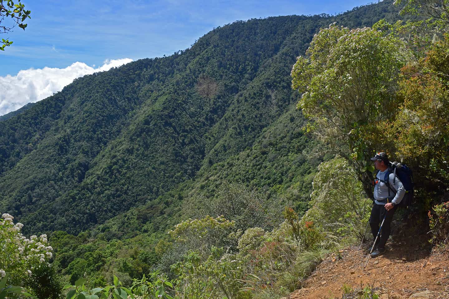 Costa Rica’s Chirripó Summit: First Hike on the San Jerónimo Trail