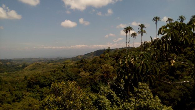 Rural Costa Rica Adopts Ecosystem-Based Approach to Climate Resilience
