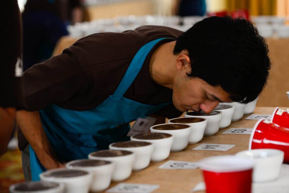 Costa Rica Names Its Best Coffees of 2026 at the Cup of Excellence ...