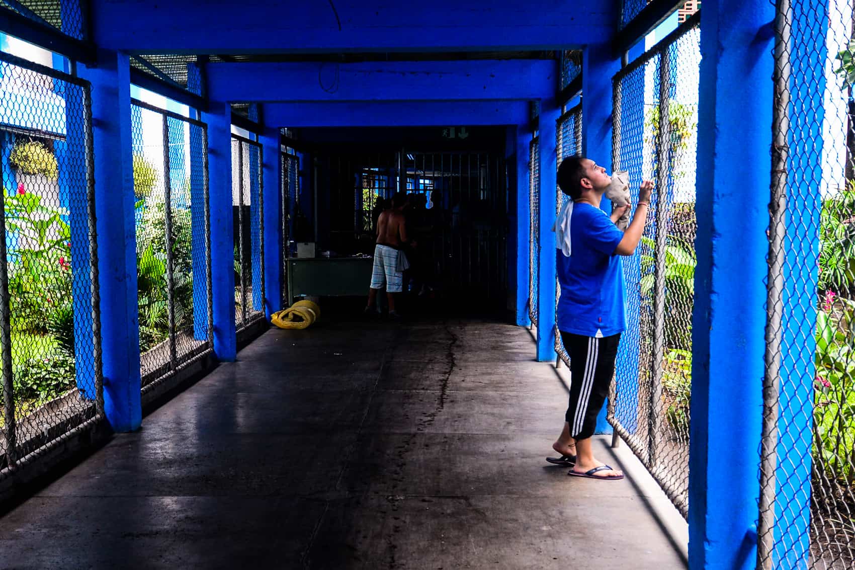 Hell spilling over: Is Costa Rica's preventive prison system in need of ...