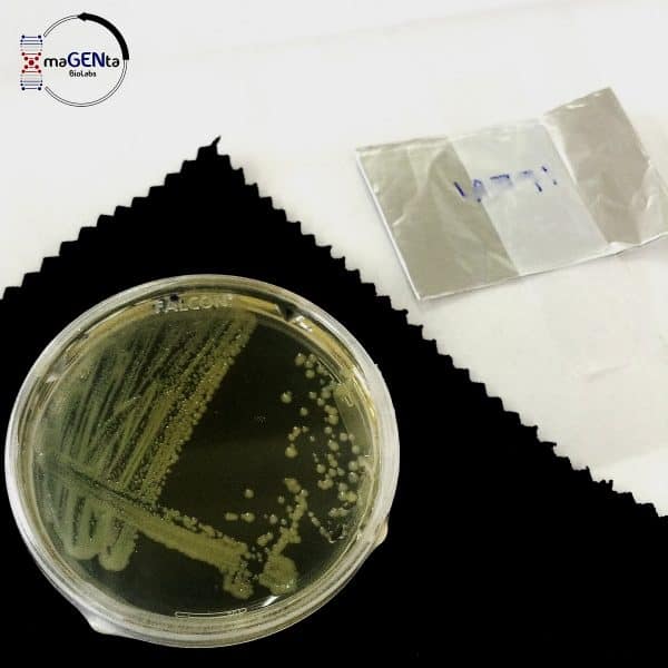 Four Costa Rican scientists' excellent adventure