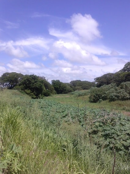 Costa Rica's Tempisque River: Mismanagement threatens Guanacaste