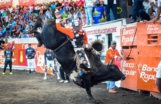 Costa Rica-style bullfights: animal abuse or tradition?