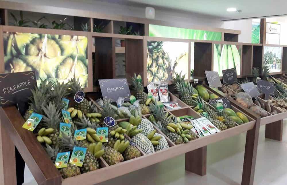 Costa Rica's natural foods with great prospects for trade with Canada