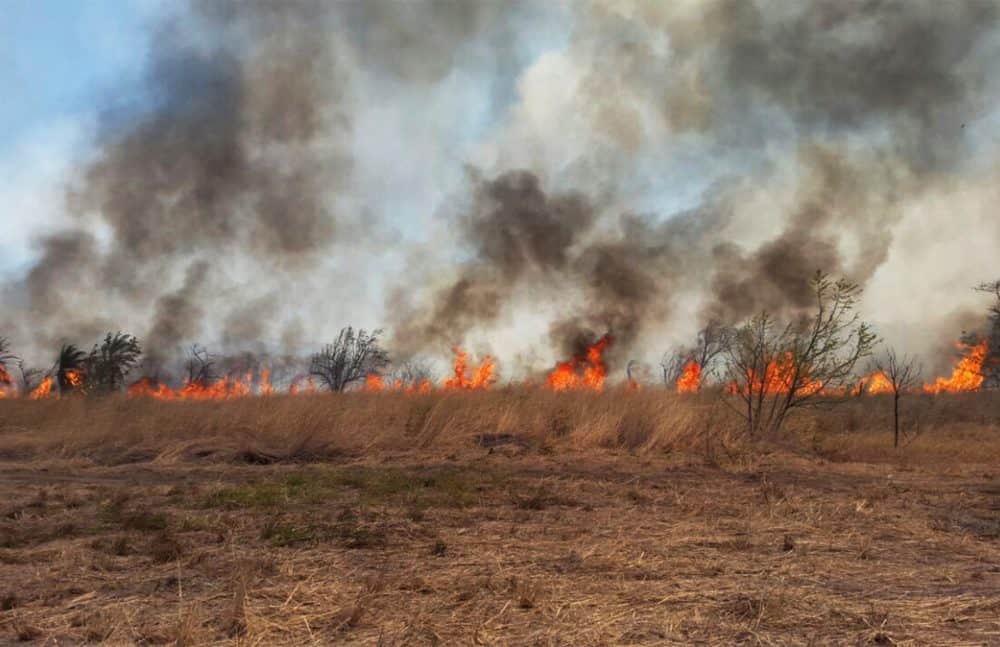 Guanacaste Forest Fires Break Costa Rica’s 2024 Record