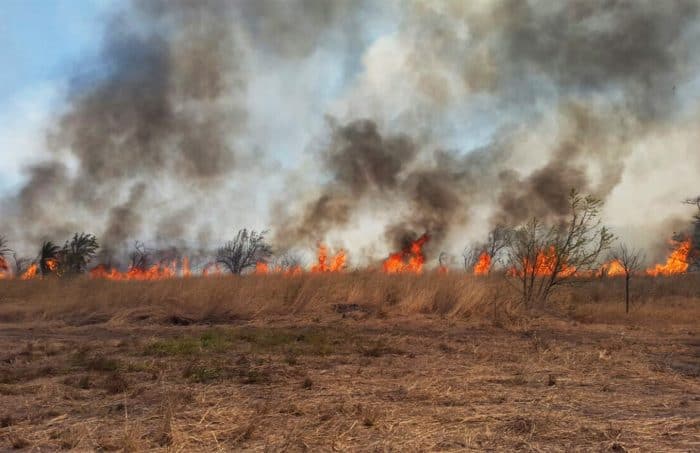 Guanacaste Forest Fires Break Costa Rica’s 2024 Record