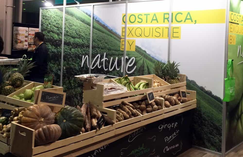 Costa Rica's exports of goods up from last year