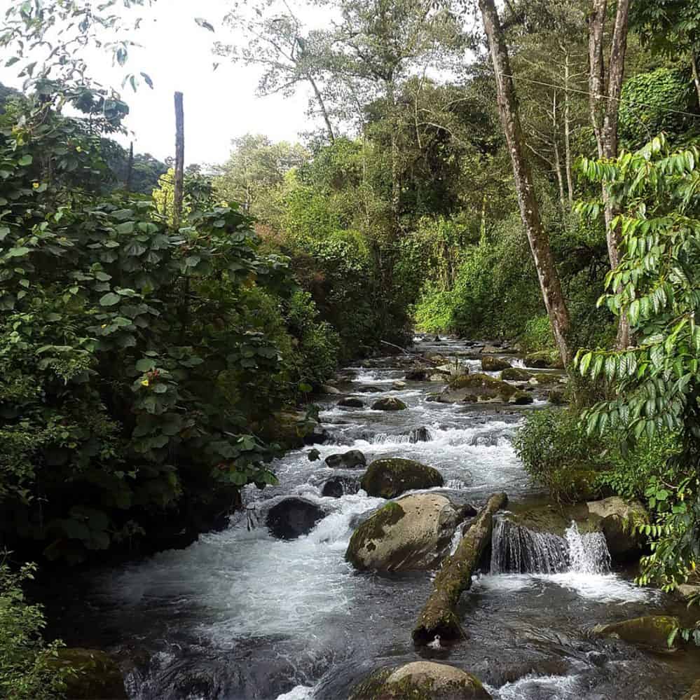 UNESCO declares Costa Rica’s Savegre a Biosphere Reserve – The Tico ...