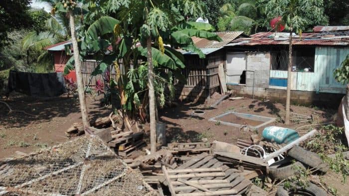 Five first-hand accounts of Costa Rica's devastating storm