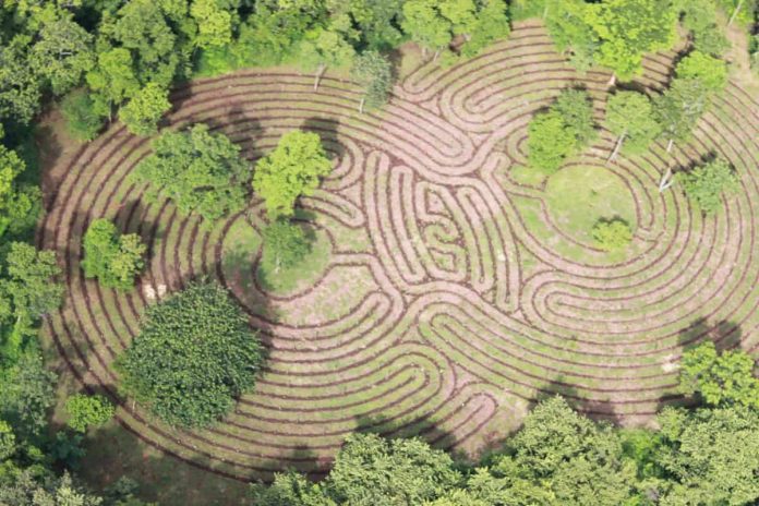 How the Tamarindo Labyrinth was created : The Tico Times | Costa Rica ...