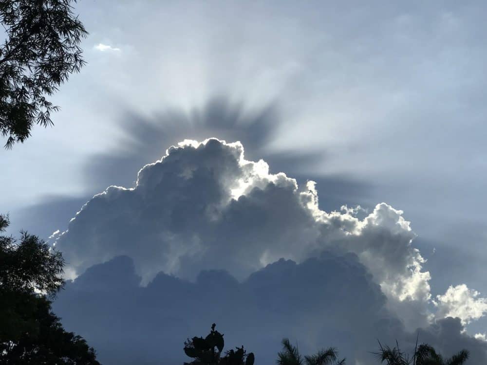 Another Celestial Sight The Tico Times Costa Rica News Travel