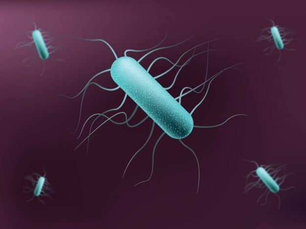 Costa Rican scientists discover new bacteria