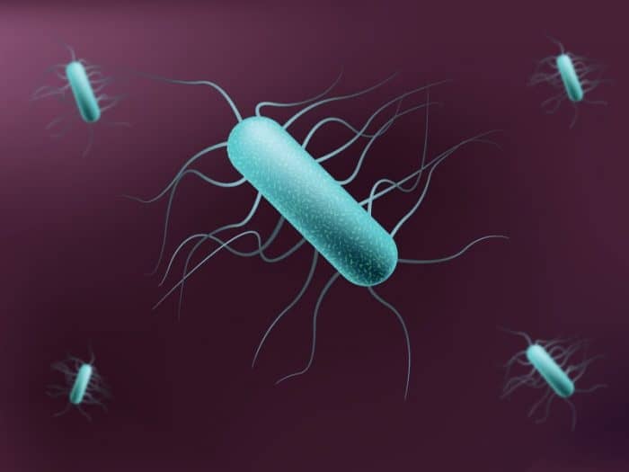 Costa Rican scientists discover new bacteria