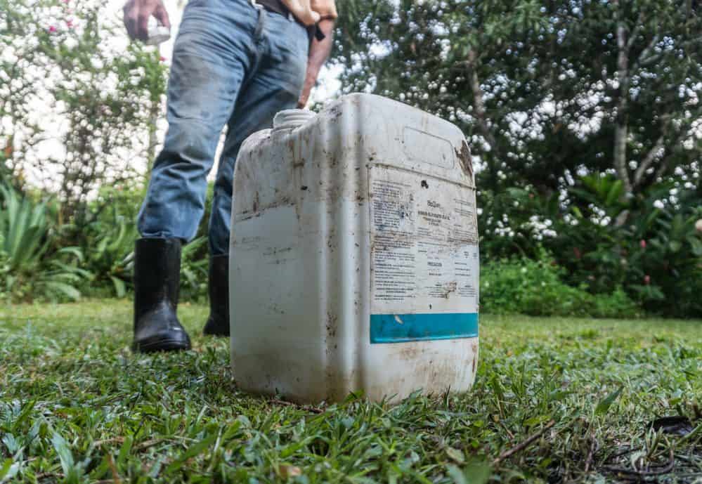 Costa Rica Pesticides Kill Fish in Madre de Dios Lagoon