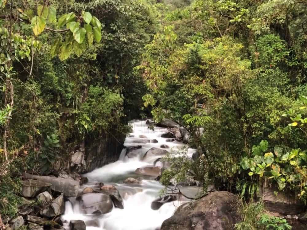 Hiking Chirripó: Journey to the top of the world