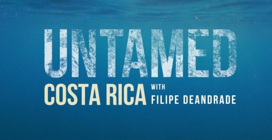 National Geographic highlights Costa Rica in 'Untamed' series : The ...
