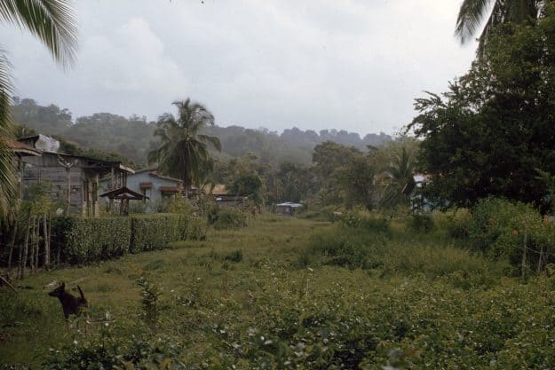 Puerto Viejo, Costa Rica : A fight to preserve culture