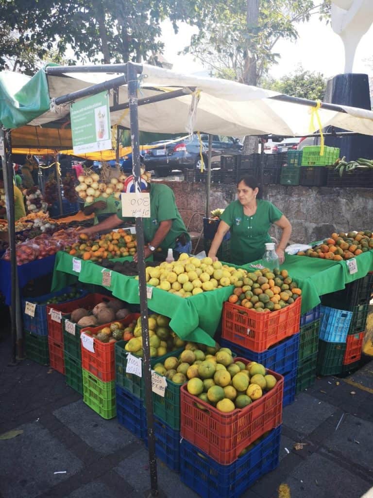 Costa Rica Travel: Santa Ana Farmers Market : The Tico Times | Costa ...
