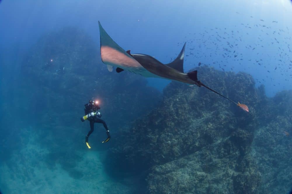 Costa Rica signs decree to protect its coral reefs