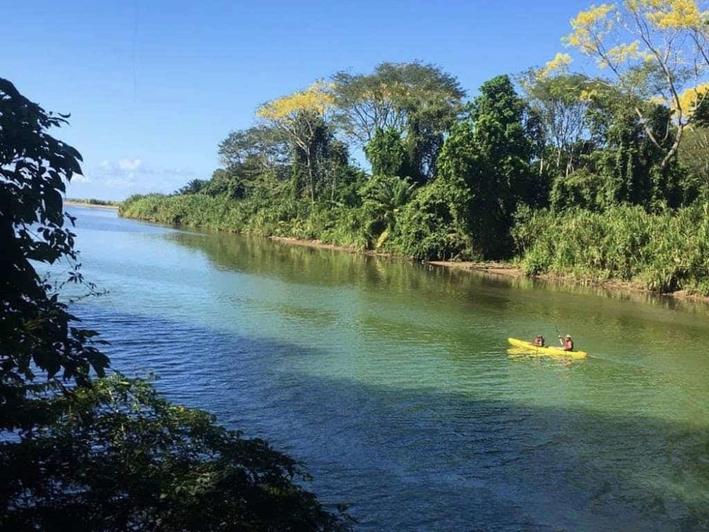 Fishing Costa Rica: Tie a Ribbon Around the Yellow Sailfish Tree : The ...