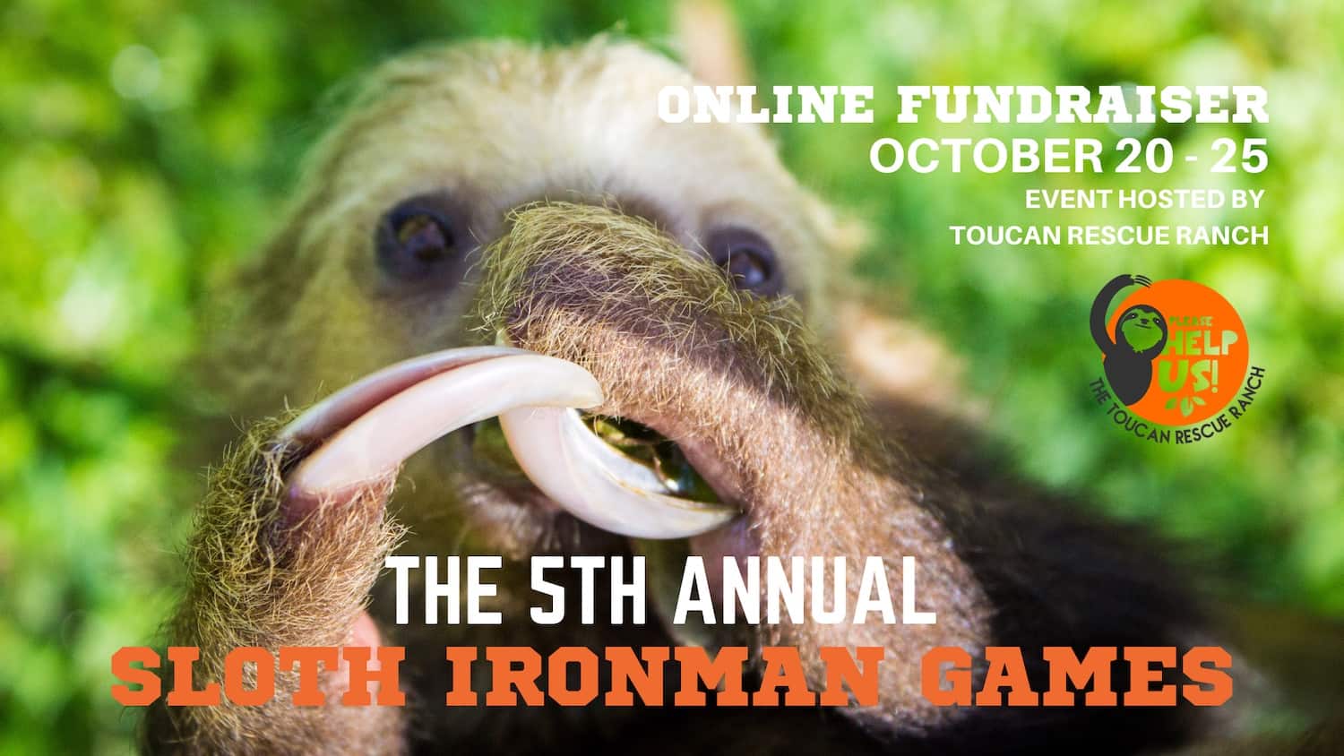 Awarding the top sloths of the 2020 Ironman Games – Sloth Gift Shop
