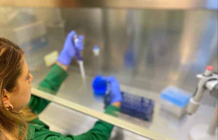 Why Costa Rica uses horseshoe crab blood in medicine : The Tico Times ...