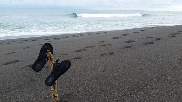 Are These The 5 Best Black Sand Beaches of Costa Rica? : The Tico Times ...